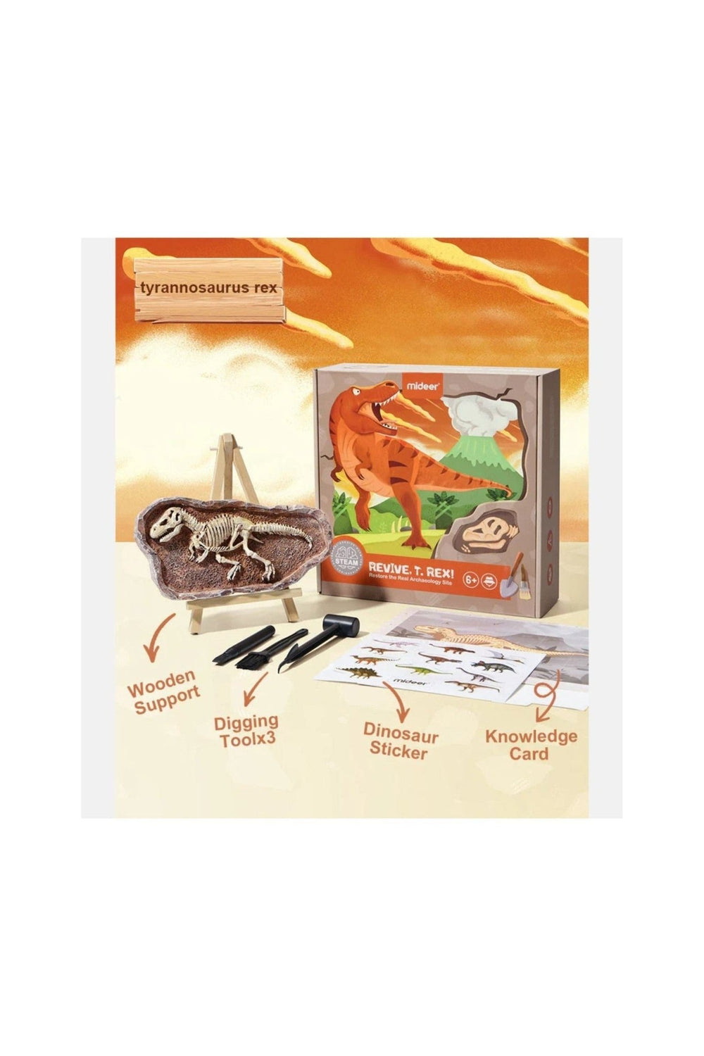 Revive A T-Rex - Dig A Dinosaur Kit – Marah Kids